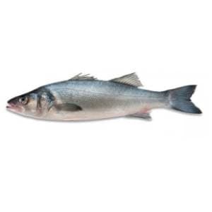 Brancin 1kg - Cenoteka